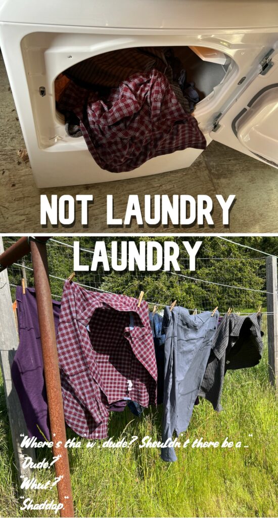 Amoeba’s Lorica: Meme-ories 51 (How Dry It Is) | Dude & Dude